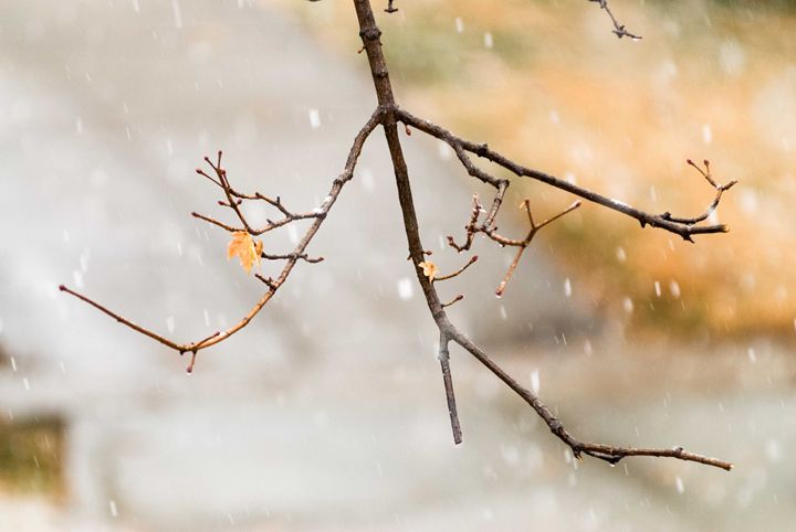 First Signs of Winter - The Graceful Image - Photography, Landscapes ...