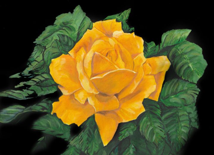 Friendship Rose - Keith w smith - Paintings & Prints, Flowers, Plants ...