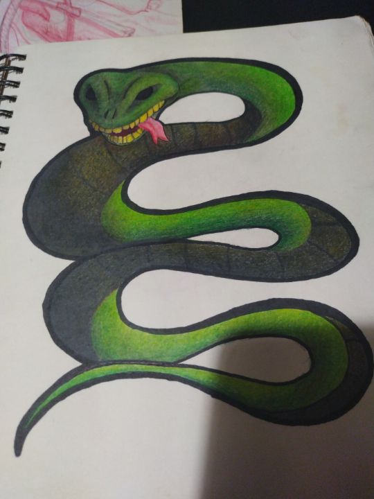 Sssmile - Ryan "RAT" Tice - Drawings & Illustration, Animals, Birds ...