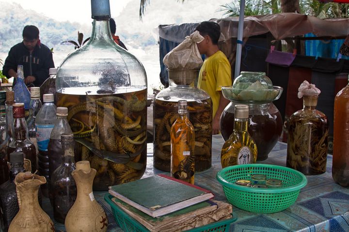Pickled snakes, Lizards, Millipedes, - Rosewood Photographics ...