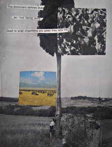 Kayla McIntosh - Crafts & Other Art, Paintings & Prints