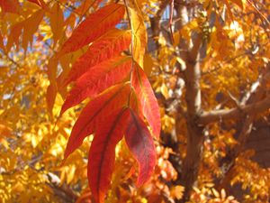 Bryn's Photos - Photography