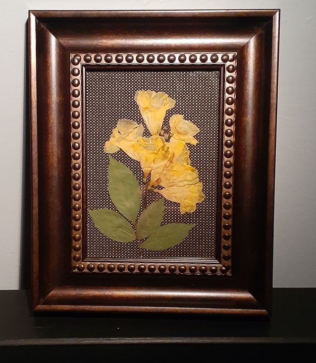Arizona Bells - ARIZONA Flowers - Crafts & Other Art, Other Crafts ...
