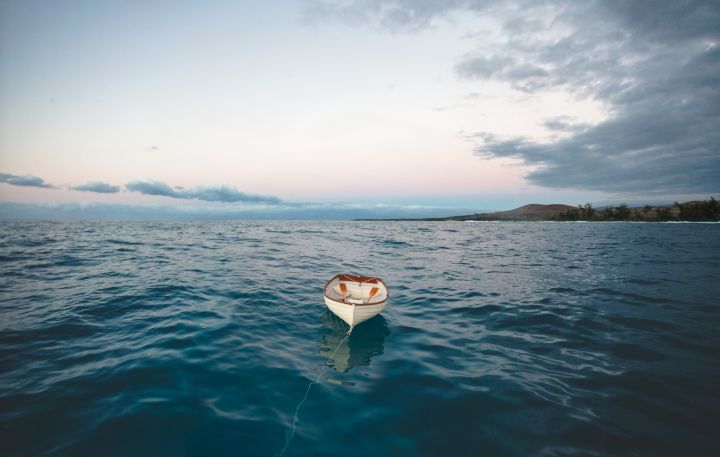 Cassidy Wayant - Photography