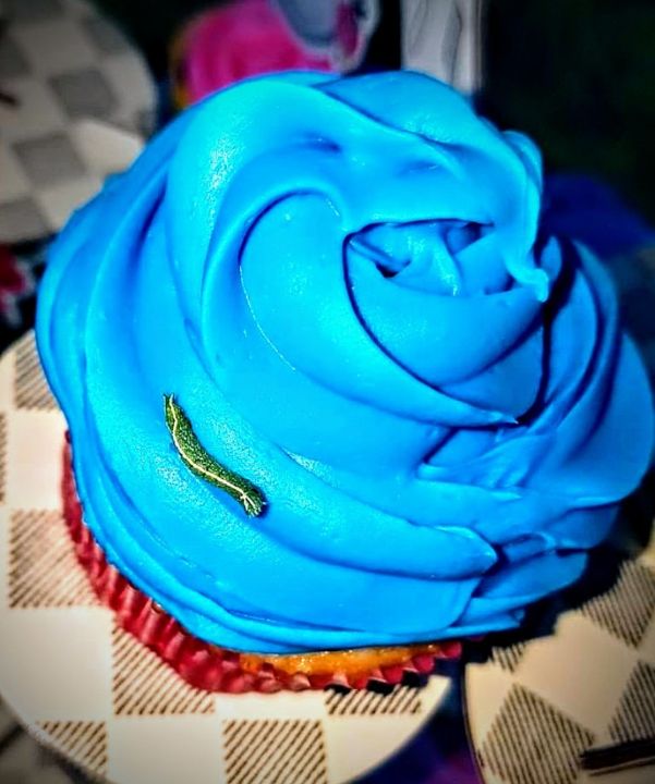 Cupcake treat - SF - Photography, Food & Beverage, Dessert & Candy ...