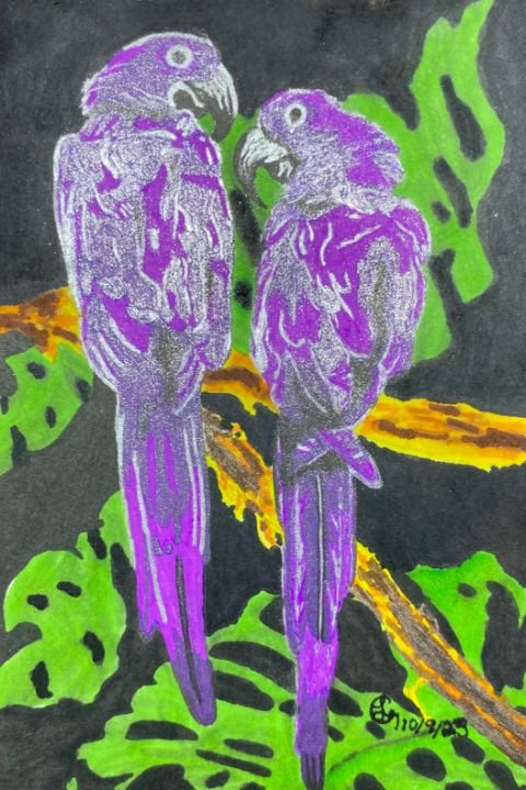 A Beautiful Day In ‘Parrot’dise. - LGUnlimited - Drawings ...