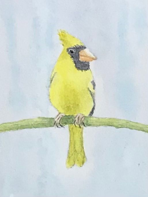 Yellow Cardinal - Addison - Paintings & Prints, Animals, Birds, & Fish ...