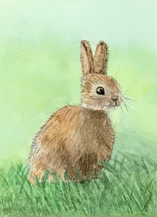 Fat Rabbit - Addison - Paintings & Prints, Animals, Birds, & Fish ...