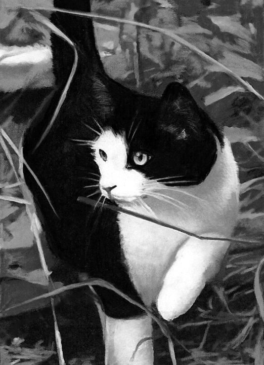 cat grass - LIKENESS by corry - Drawings & Illustration, Animals, Birds ...