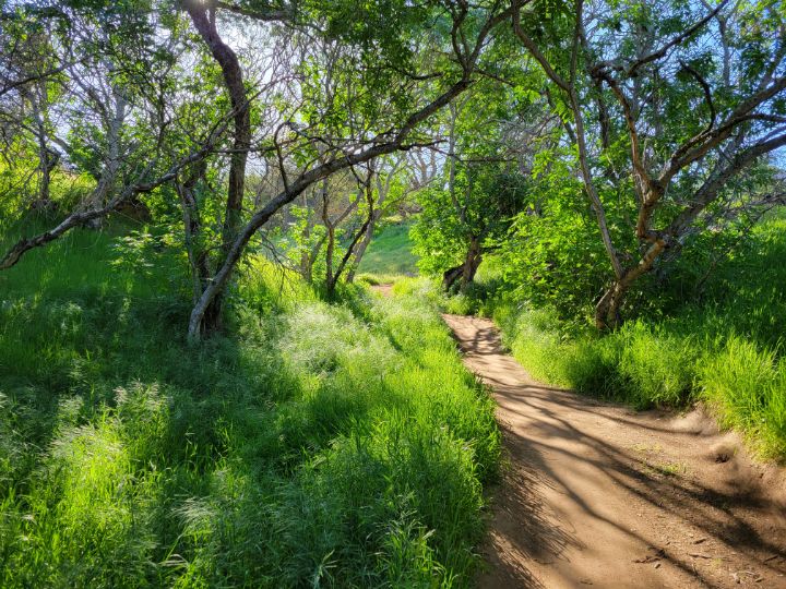Trailhead - Kilikina4 - Photography, Landscapes & Nature, Paths ...