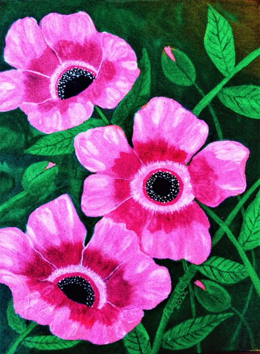 Pink Poppies - Rene's Gifts - Paintings & Prints, Flowers, Plants ...