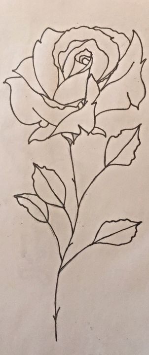 Simple rose - Pure Art - Drawings & Illustration, Flowers, Plants ...