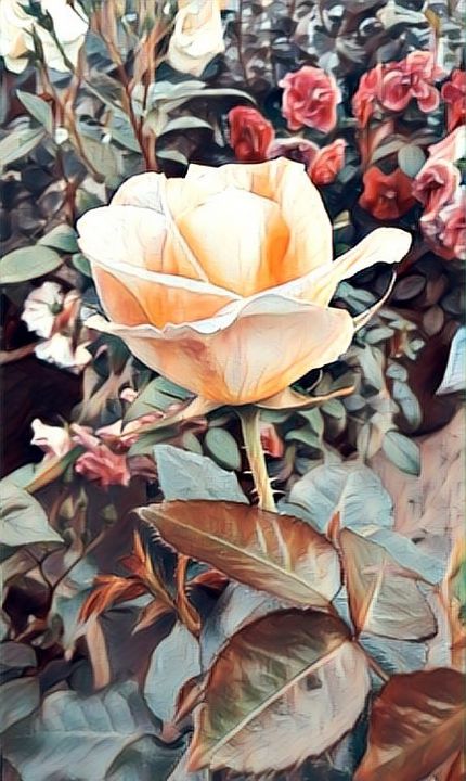 One Rose - David Finch - Paintings & Prints, Flowers, Plants, & Trees ...