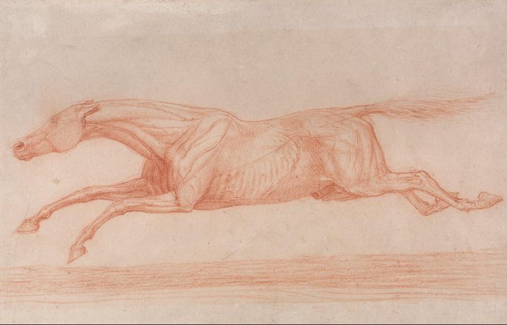 George Stubbs~Study of a Racehorse i - Treasury Classic - Paintings ...