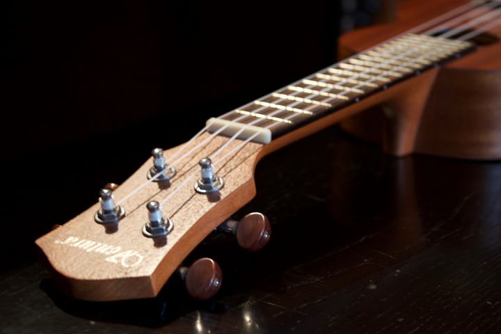 Fuzzy - Raven Rogers - Photography, Entertainment, Music, Other Music ...