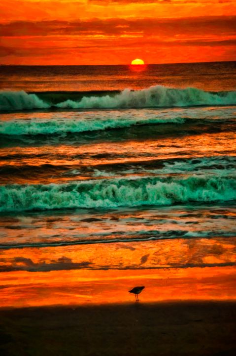 sunrise sand piper - Beach People - Paintings & Prints, Landscapes ...
