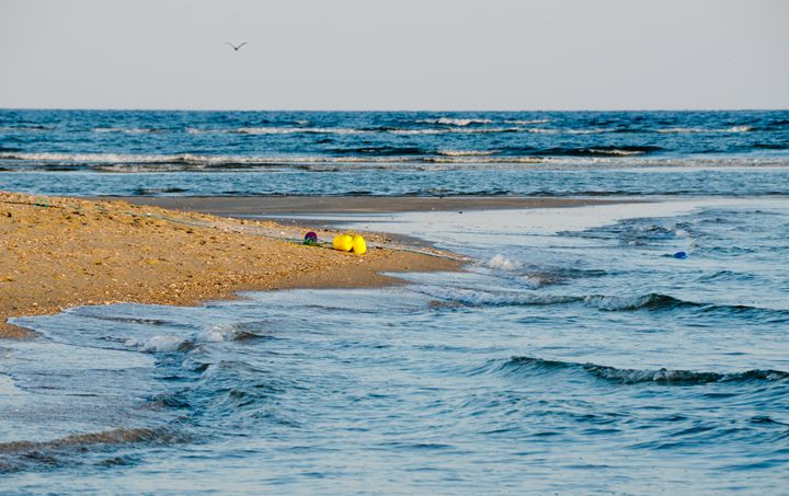 Washed up from the sea - Beach People - Paintings & Prints, Landscapes ...