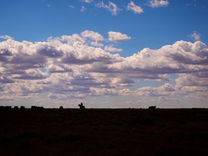 Ben Grogan - Photography