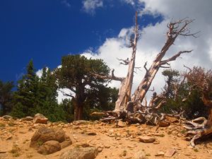 Ben Grogan - Photography