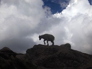 Ben Grogan - Photography