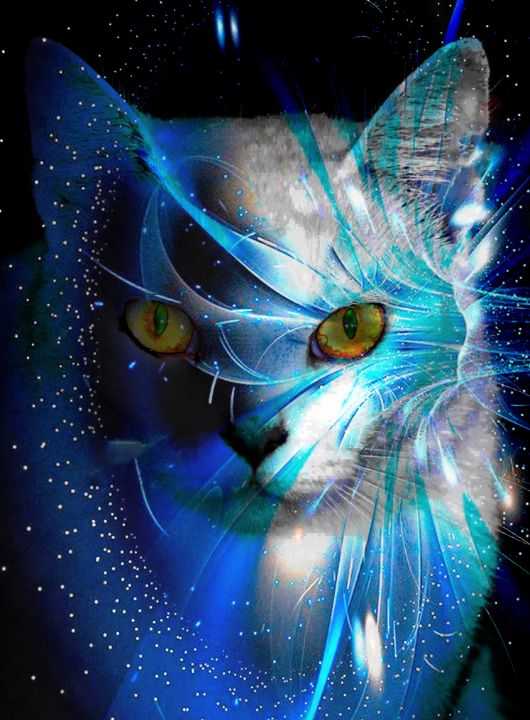 gato iluminado - VCartes - Digital Art & AI, Animals, Birds, & Fish ...