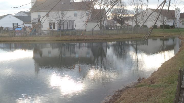 Neighborhood Pond - Elizabeth S. Peters ESP - Photography, Landscapes ...