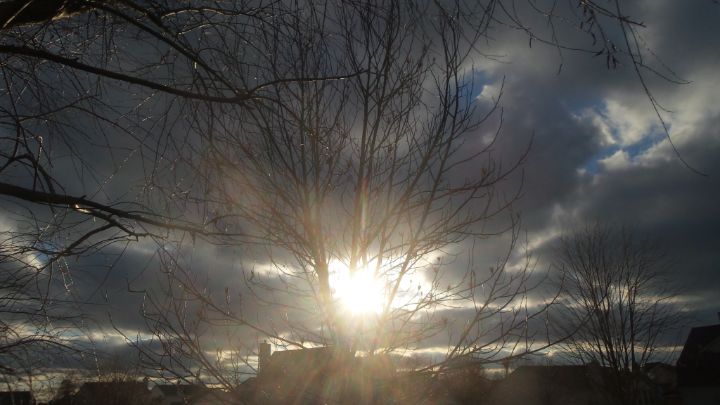 Sun Burst - Elizabeth S. Peters ESP - Photography, Landscapes & Nature ...