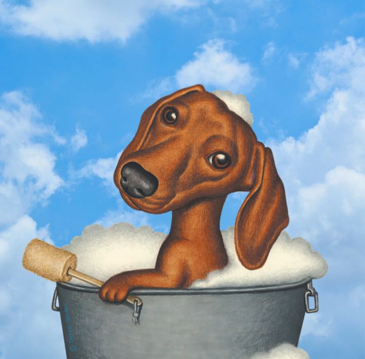 Cute doxie taking bubble bath in tub - Danny Gordon Art - Drawings & Illustration, Animals ...