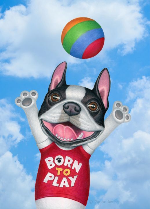 Fun loving Boston Terrier with ball - Danny Gordon Art - Drawings ...