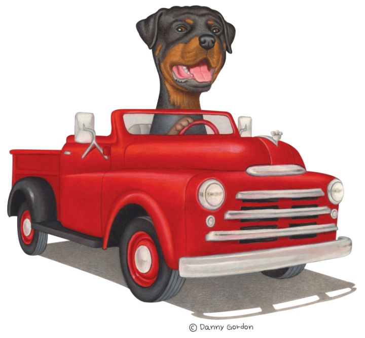 Denzel the Rottweiler - Danny Gordon Art - Drawings & Illustration ...