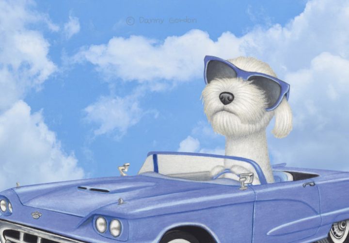 Cute labradoodle driving classic car - Danny Gordon Art - Drawings ...