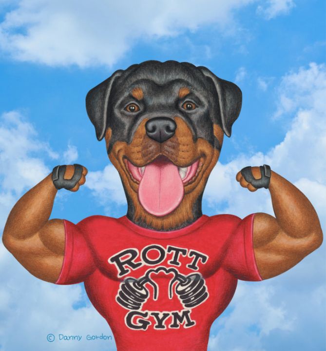 Funny Rottweiler Dog with muscles - Danny Gordon Art - Drawings ...