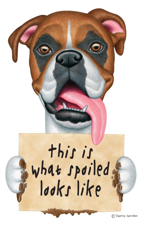 Mudd the Boxer Dog - Danny Gordon Art - Drawings & Illustration, Animals, Birds, & Fish, Dogs ...
