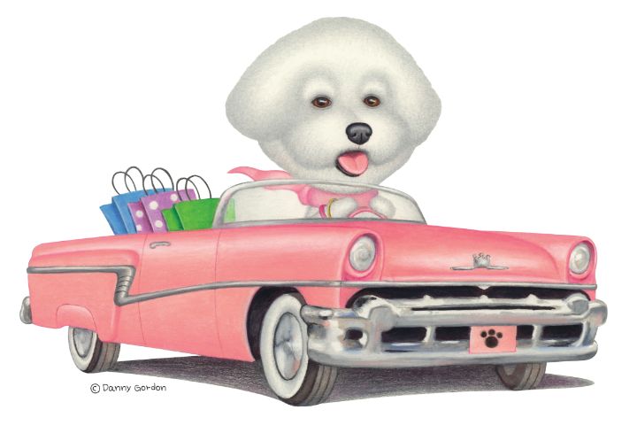 Muffy the Bichon Frise - Danny Gordon Art - Drawings & Illustration ...