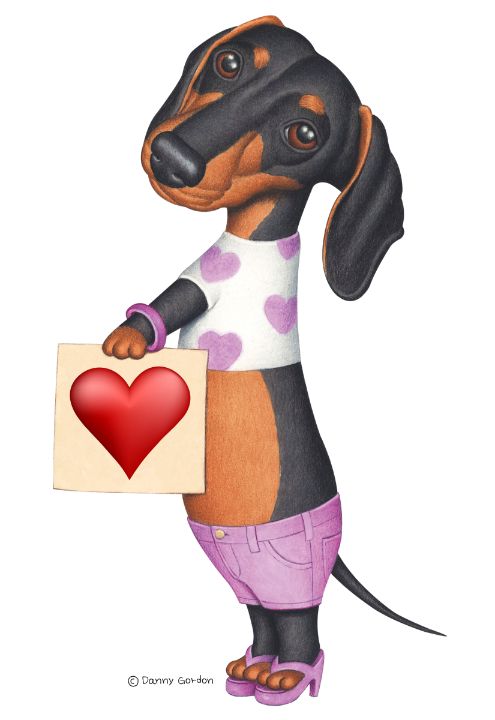 Olivia the Dachshund - Danny Gordon Art - Drawings & Illustration ...