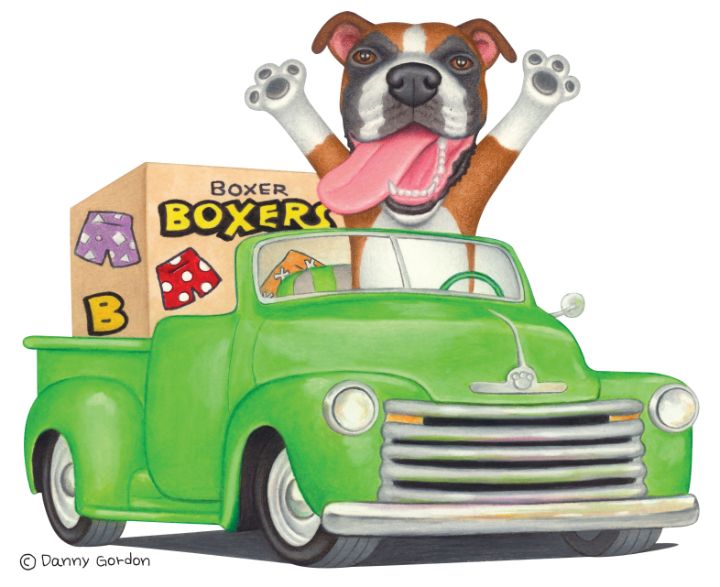 Spunky the Boxer Dog - Danny Gordon Art - Drawings & Illustration ...