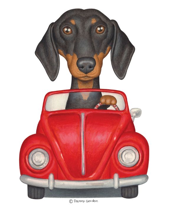 MaDeelea the Dachshund - Danny Gordon Art - Drawings & Illustration ...