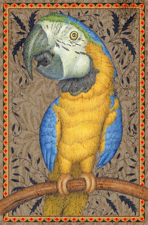 Cute African Blue & Gold Macaw bird - Danny Gordon Art - Drawings ...