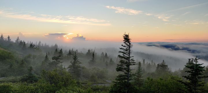 The mist in Maine - John Harris - Photography, Landscapes & Nature ...