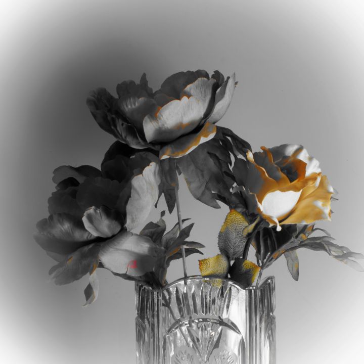 P1011481 - Keith Johnson - Photography, Abstract, Color - ArtPal