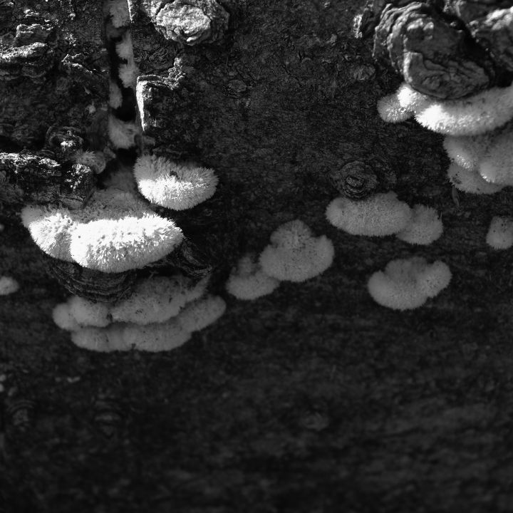 _1011232 - Keith Johnson - Photography, Abstract, Other Abstract - ArtPal