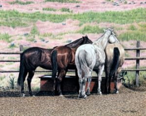 Bruce J. Nelson Art - Paintings & Prints