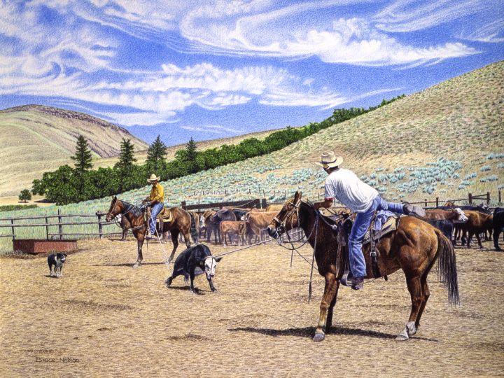 Tater Coral #2 - Bruce J. Nelson Art - Paintings & Prints, Animals ...