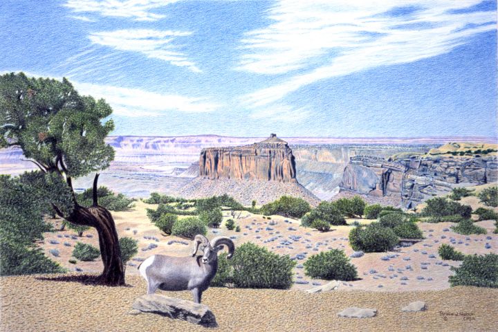 Canyonlands National Park - Bruce J. Nelson Art - Paintings & Prints ...