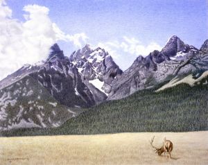 Bruce J. Nelson Art - Paintings & Prints
