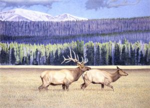 Bruce J. Nelson Art - Paintings & Prints