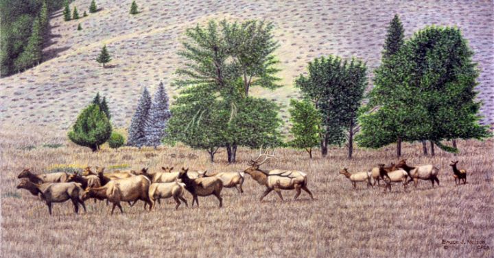 The Harem - Bruce J. Nelson Art - Paintings & Prints, Landscapes ...