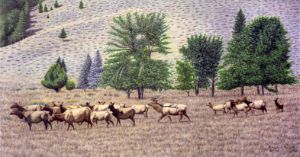 Bruce J. Nelson Art - Paintings & Prints