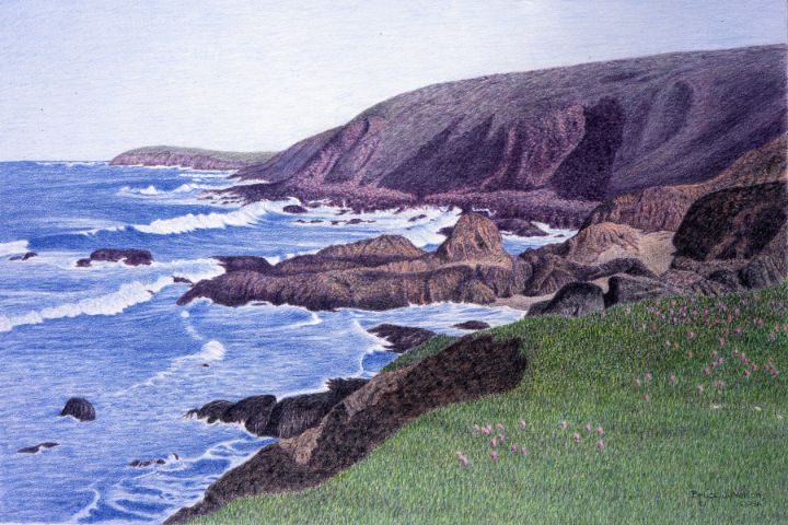 Bodega Head - Bruce J. Nelson Art - Paintings & Prints, Landscapes ...