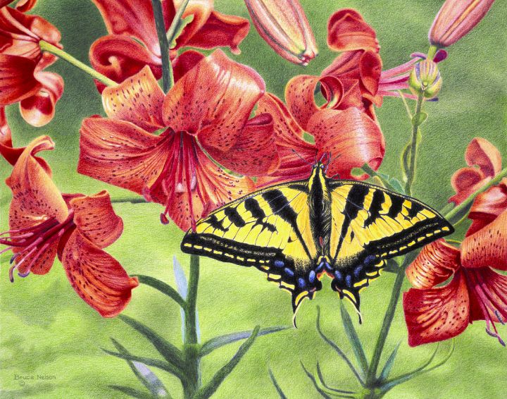 Tiger! Tiger! - Bruce J. Nelson Art - Paintings & Prints, Animals ...